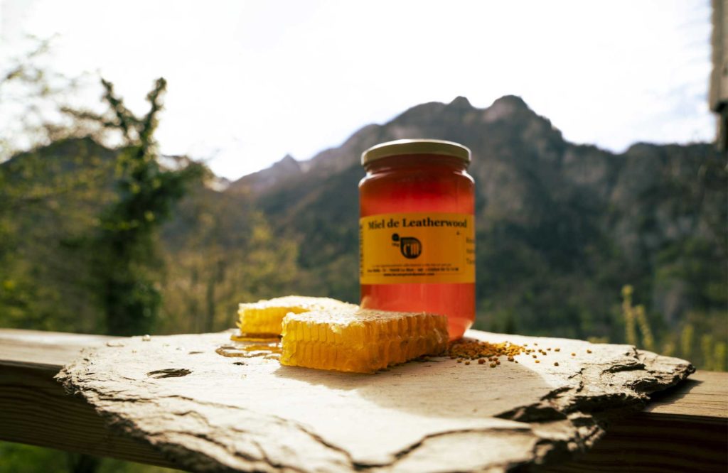 Archives des Honeys from wild and distant lands - Le Comptoir du Miel